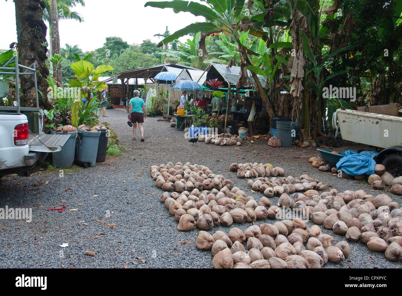 Local market on the Hana Highway, Maui Stock Photo - Alamy