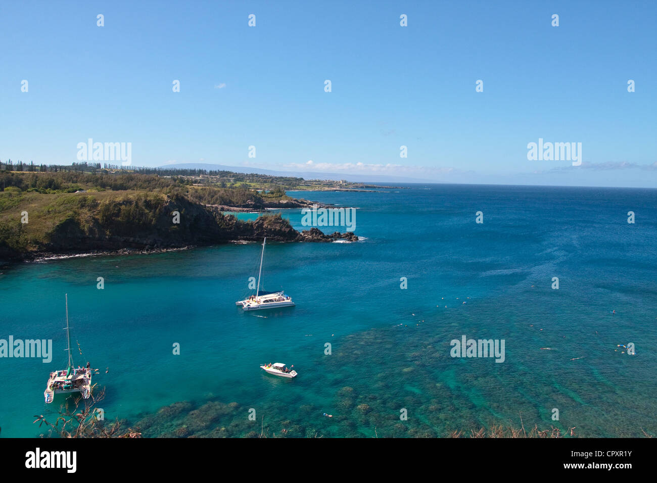 Honolua bay coral hi-res stock photography and images - Alamy