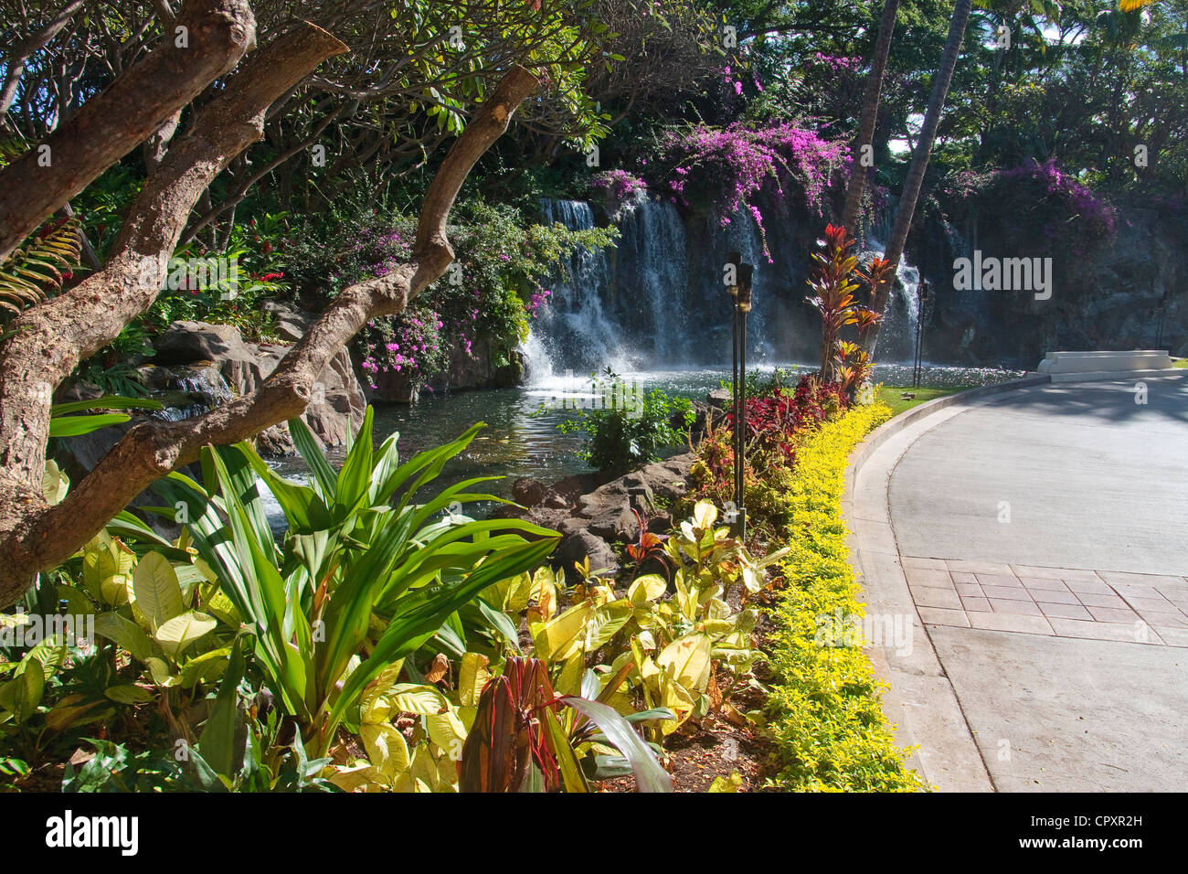 Waterfall at entrance to Grand Wailea hotel in Maui Stock Photo - Alamy