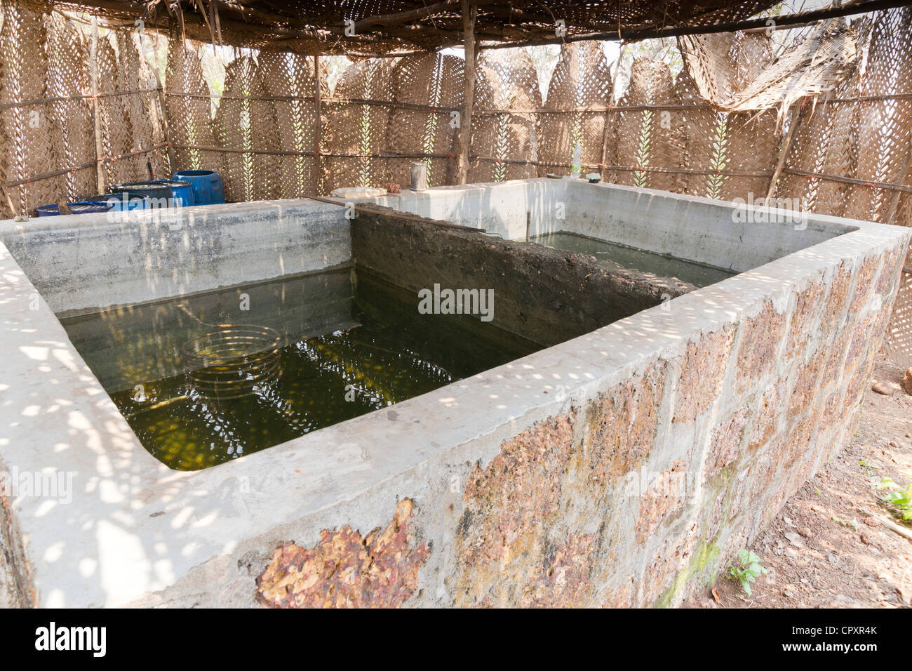 Goan Cashew Feni Stock Photo - Alamy