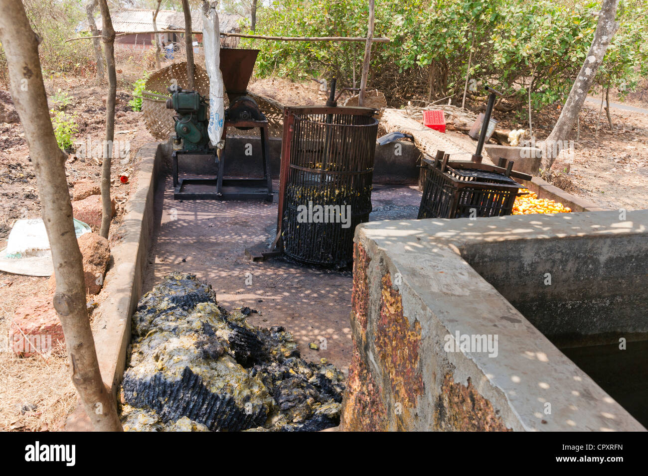 Goan feni hi-res stock photography and images - Alamy