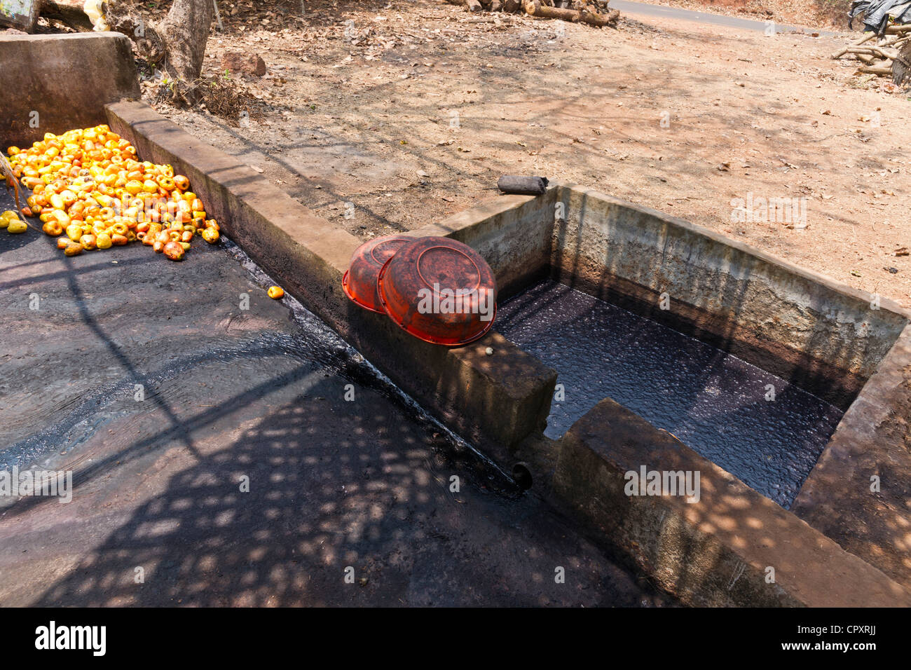 Goan Cashew Feni Stock Photo - Alamy