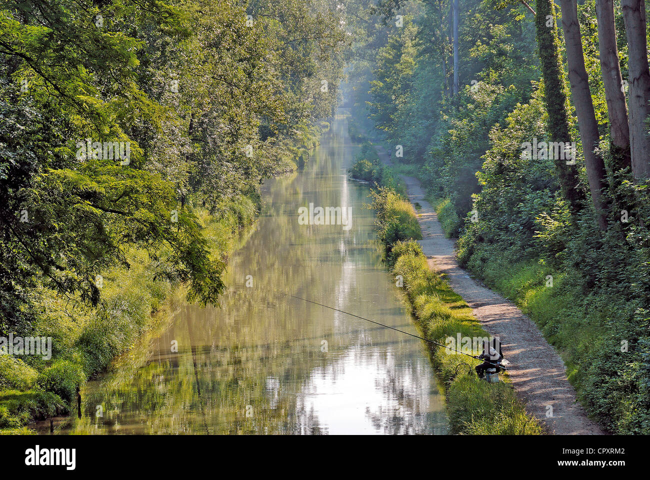 Tremblay en france hi-res stock photography and images - Alamy
