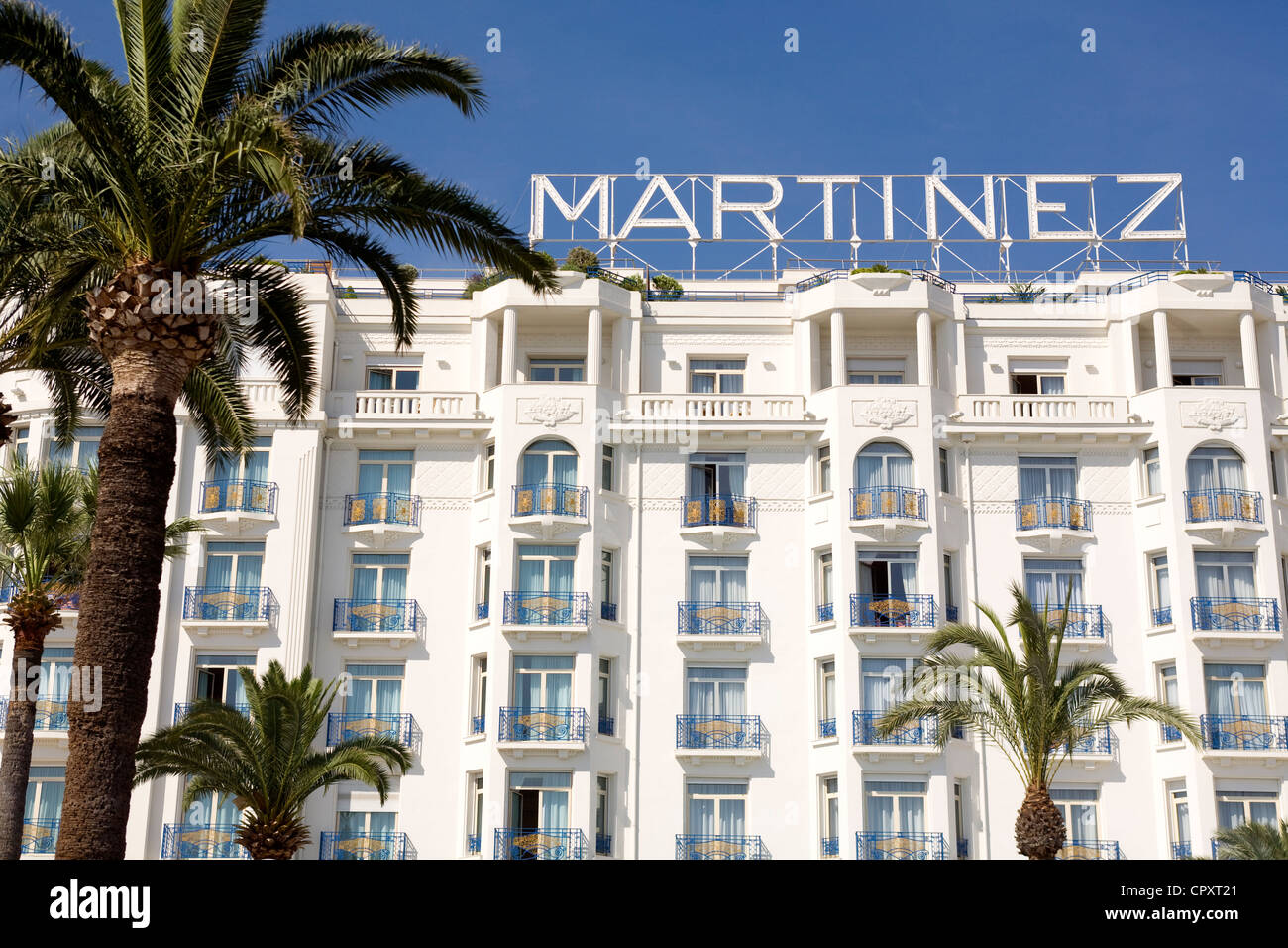 France, Alpes Maritimes, Cannes, palm tree and facade of hotel Martinez ...