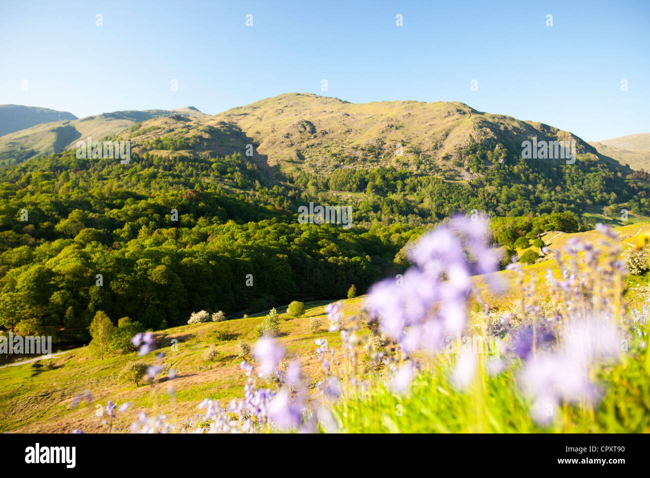 Grasmere Lake in Spring, near Ambleside in the Lake District, UK Stock ...