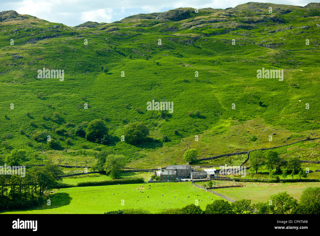Farm lake district hi-res stock photography and images - Alamy