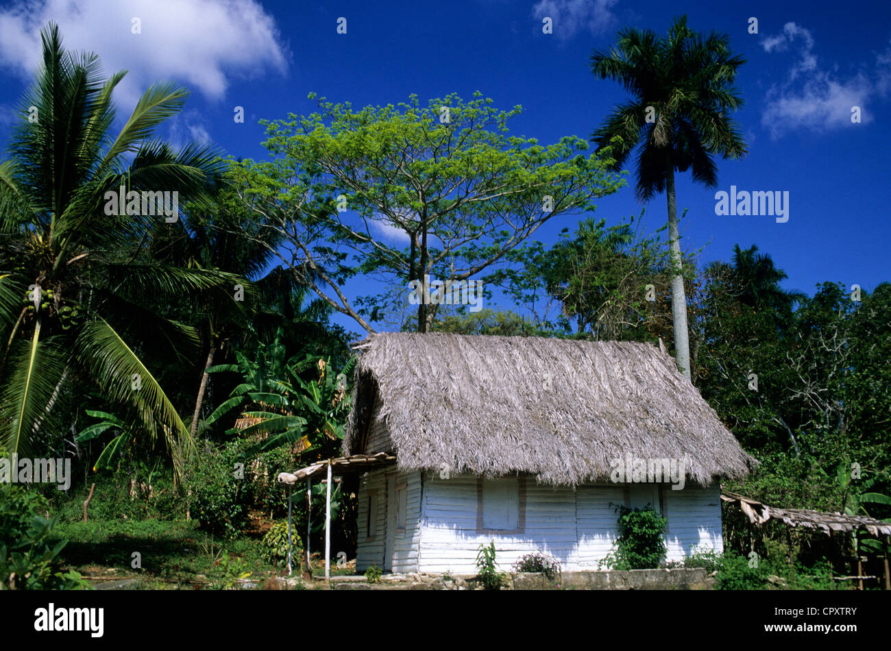 Cuba Guantanamo Province Baracoa Alejandro de Humboldt National Park ...
