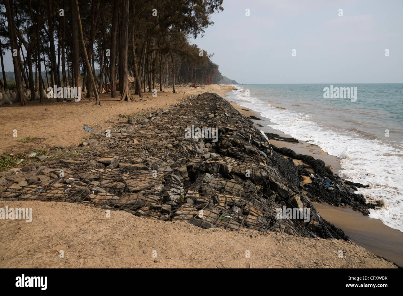 Coastal erosion a Keri Beach (Querim Beach) . The northernmost tip of the state of Goa Stock ...