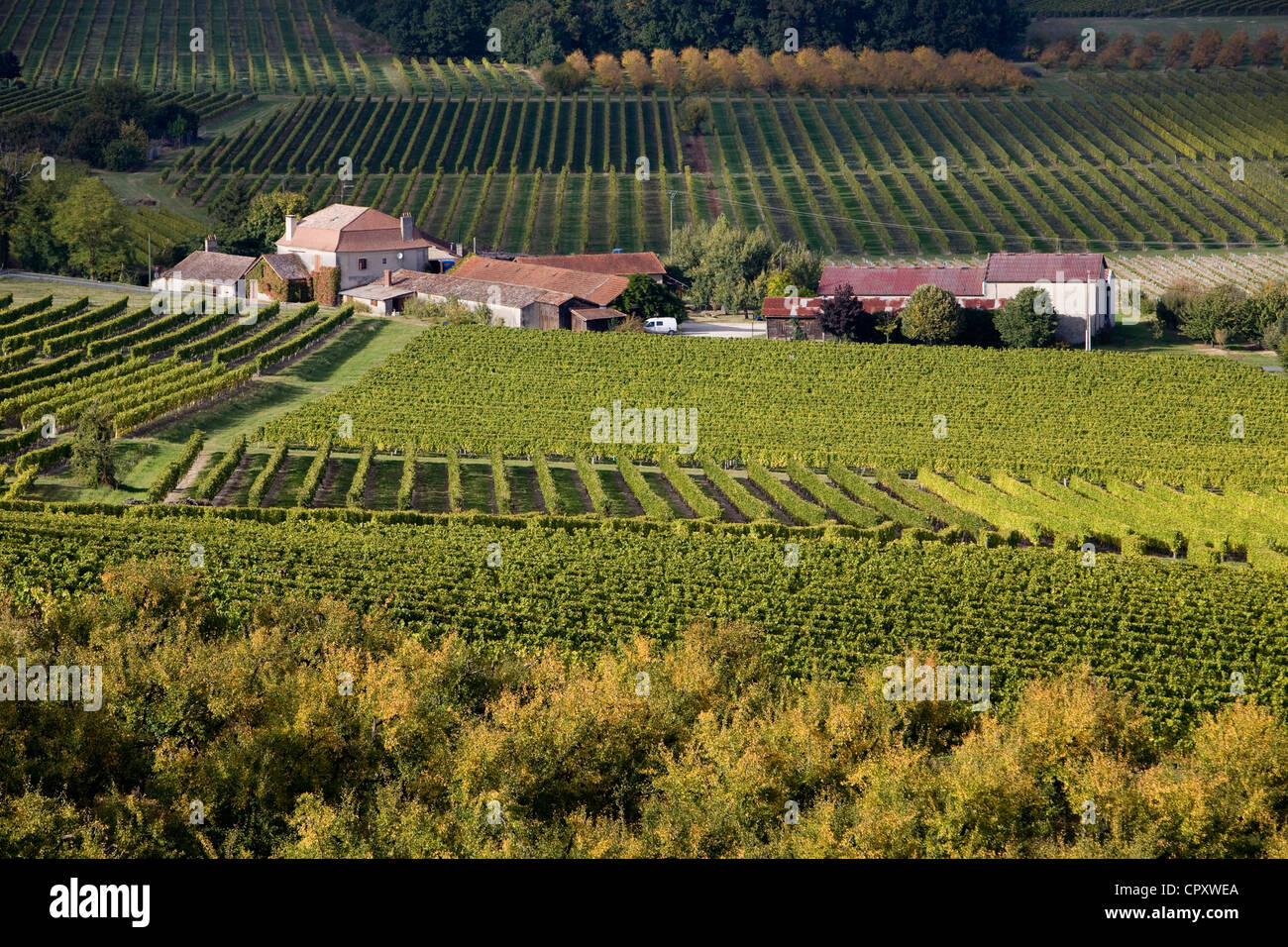 Bergeracois hi-res stock photography and images - Alamy