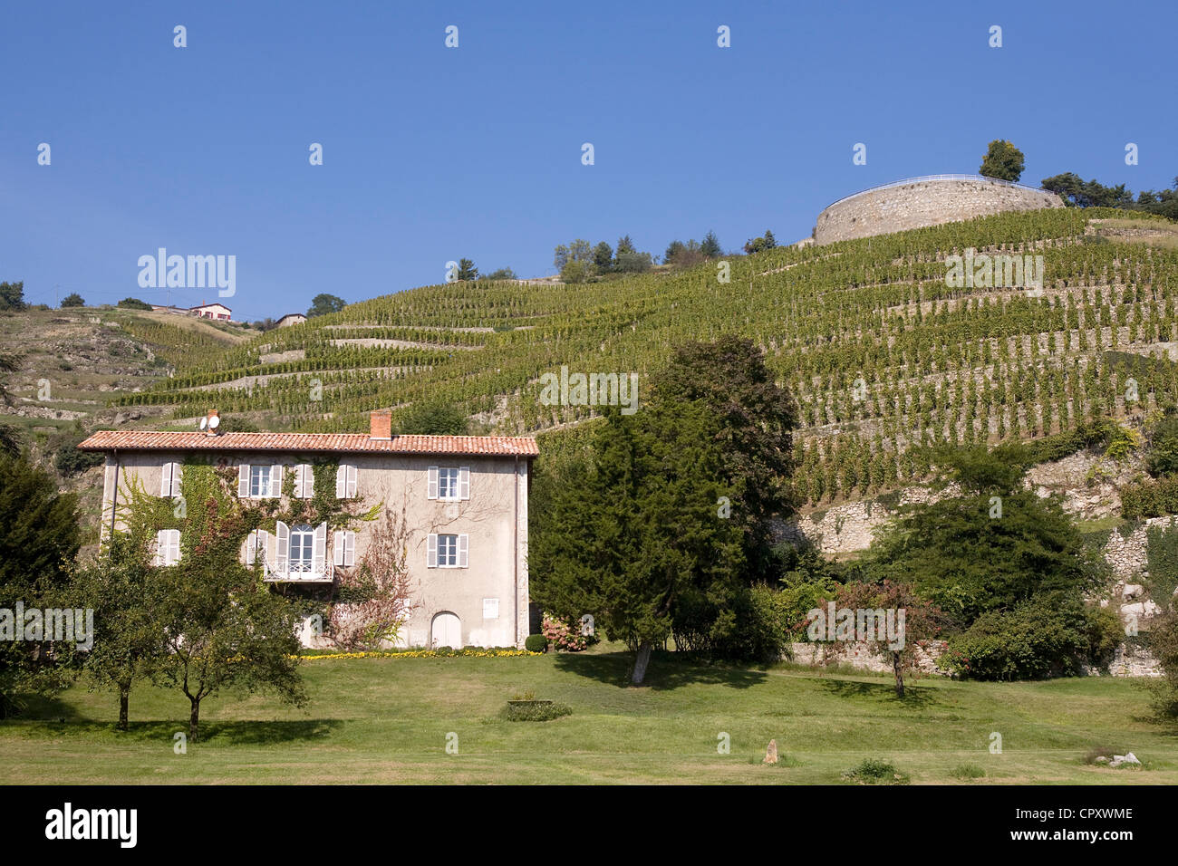 France Rhone Condrieu et Ampuis vineyard of AOC cote rotie Georges ...