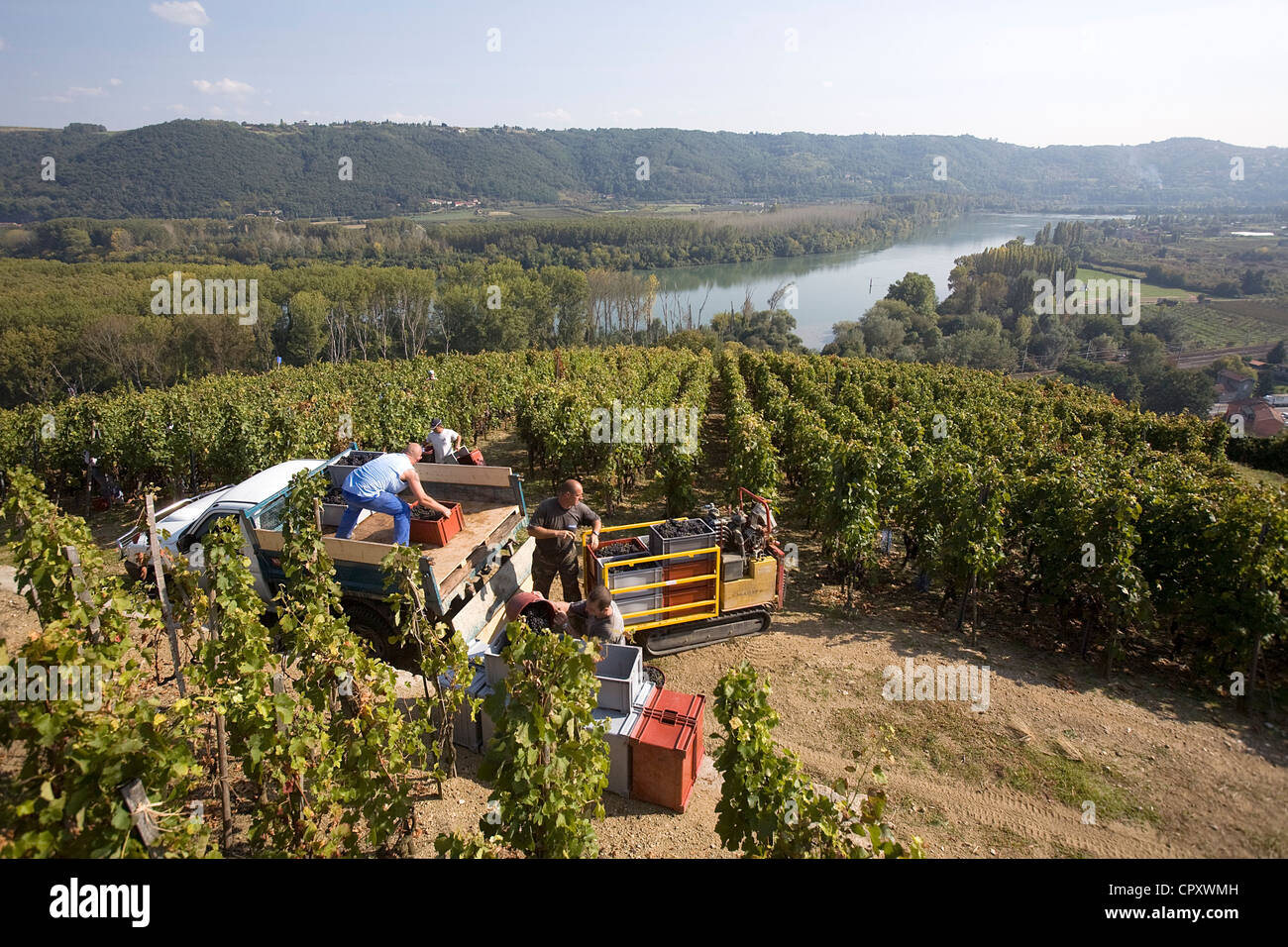 France Rhone Condrieu et Ampuis vineyard of AOC cote rotie Georges ...