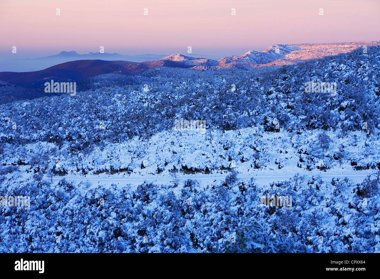France, Vaucluse, Luberon, Petit Luberon and the cedar forest, Mourre ...