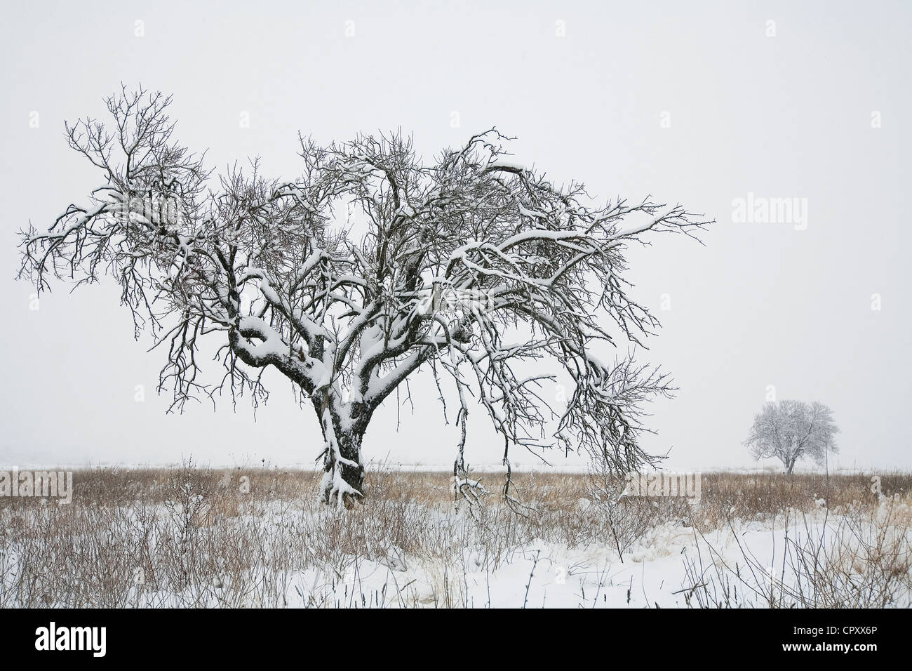 Cucuron france hi-res stock photography and images - Alamy