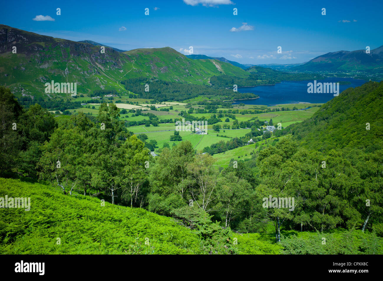 Derwent walk country park hi-res stock photography and images - Alamy