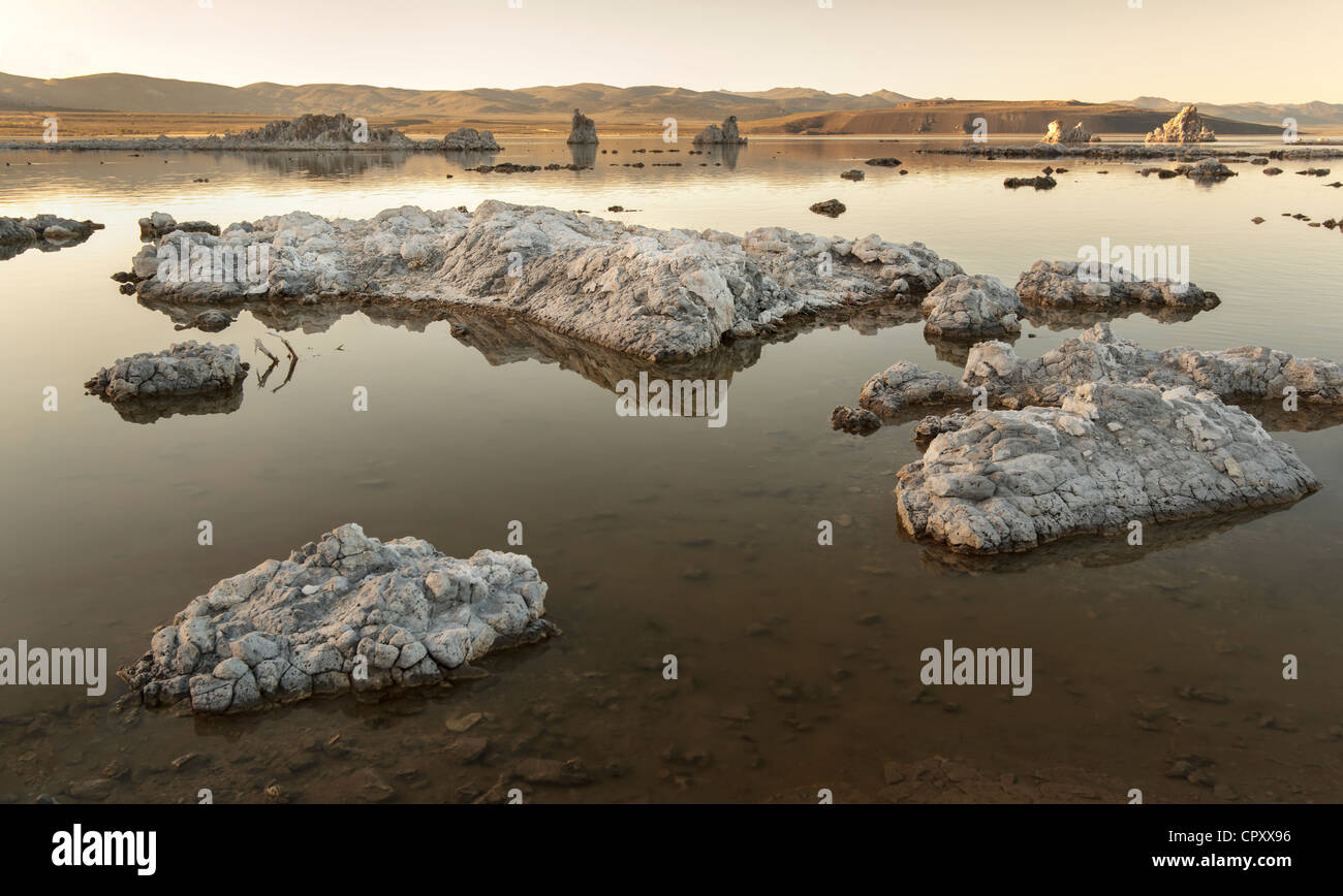 Tufus hi-res stock photography and images - Alamy