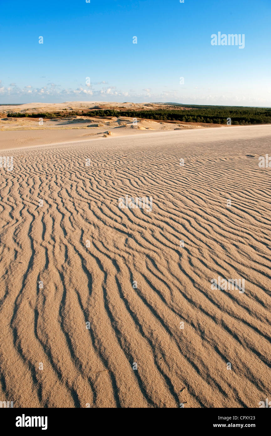 Curonian spit national park hi-res stock photography and images - Alamy