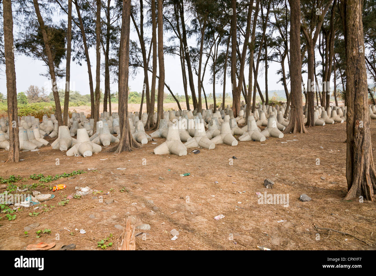 Coastal erosion a Keri Beach (Querim Beach) . The northernmost tip of ...
