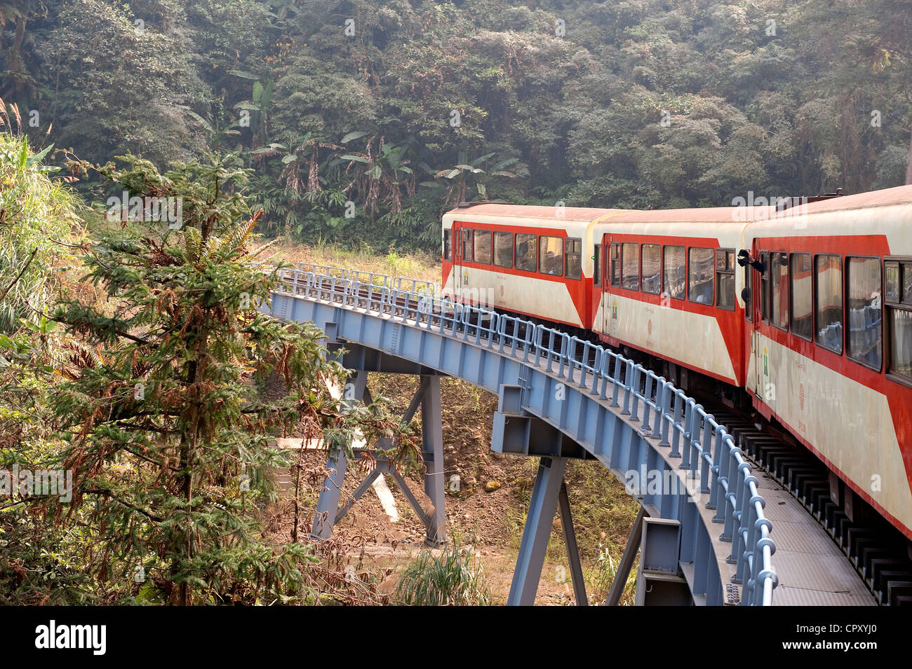 Taiwan, Chiayi District, Alishan National Scenic Area, Alishan Forest ...