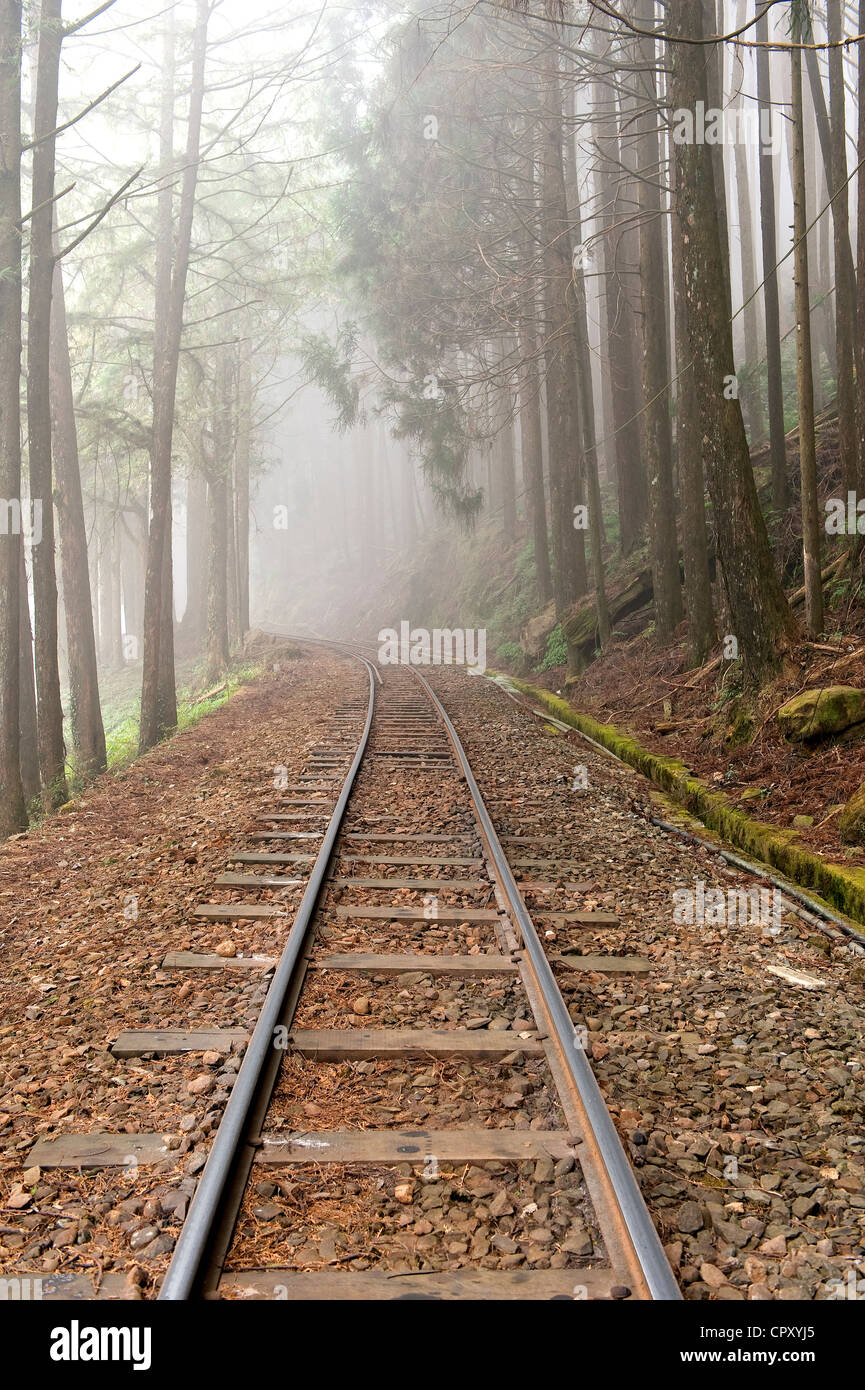 Alishan National Scenic Area High Resolution Stock Photography and ...