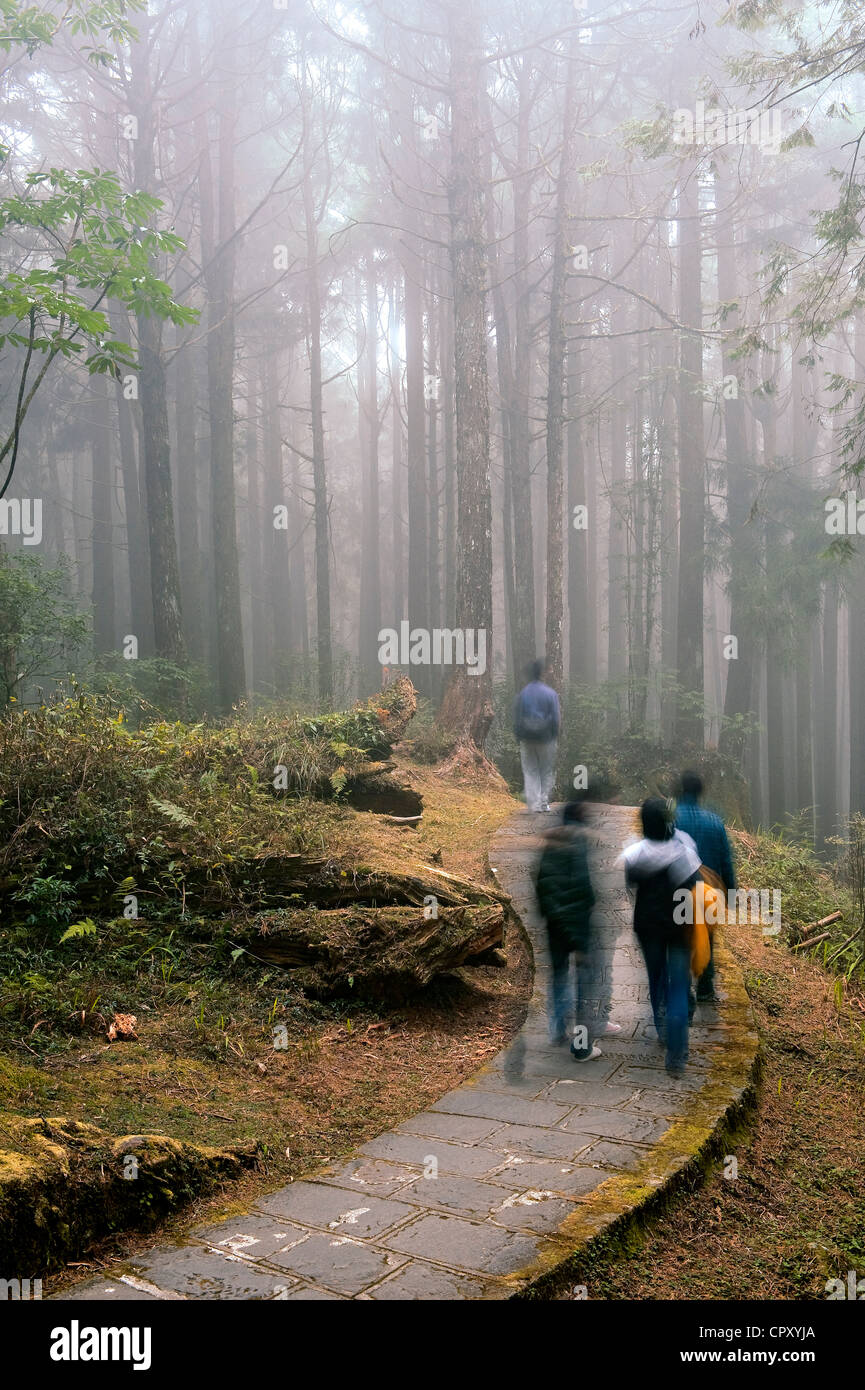 Alishan national scenic area hi-res stock photography and images - Alamy