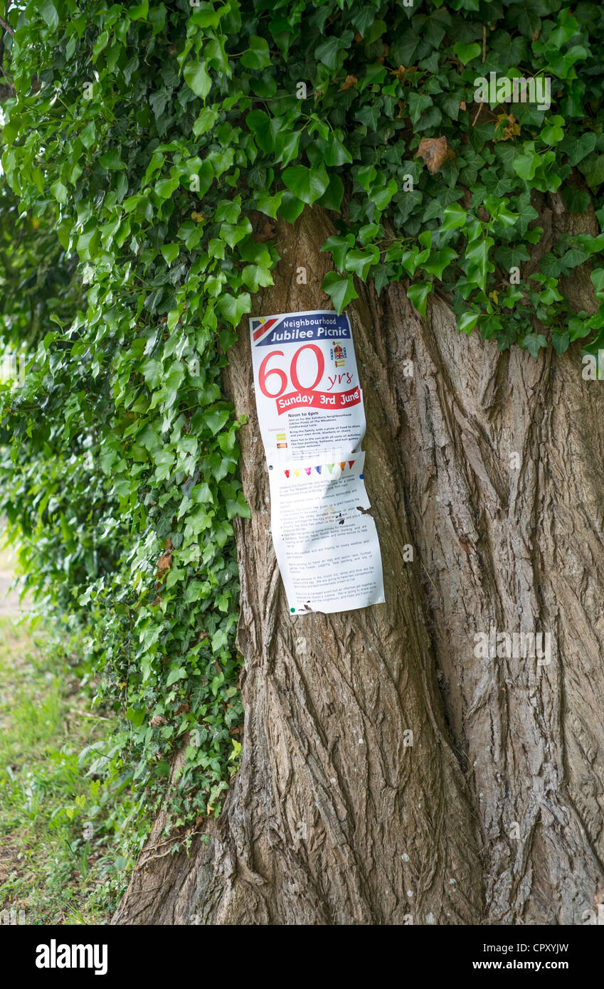Poster pinned to a tree advertising an event to celebrate the Queens ...