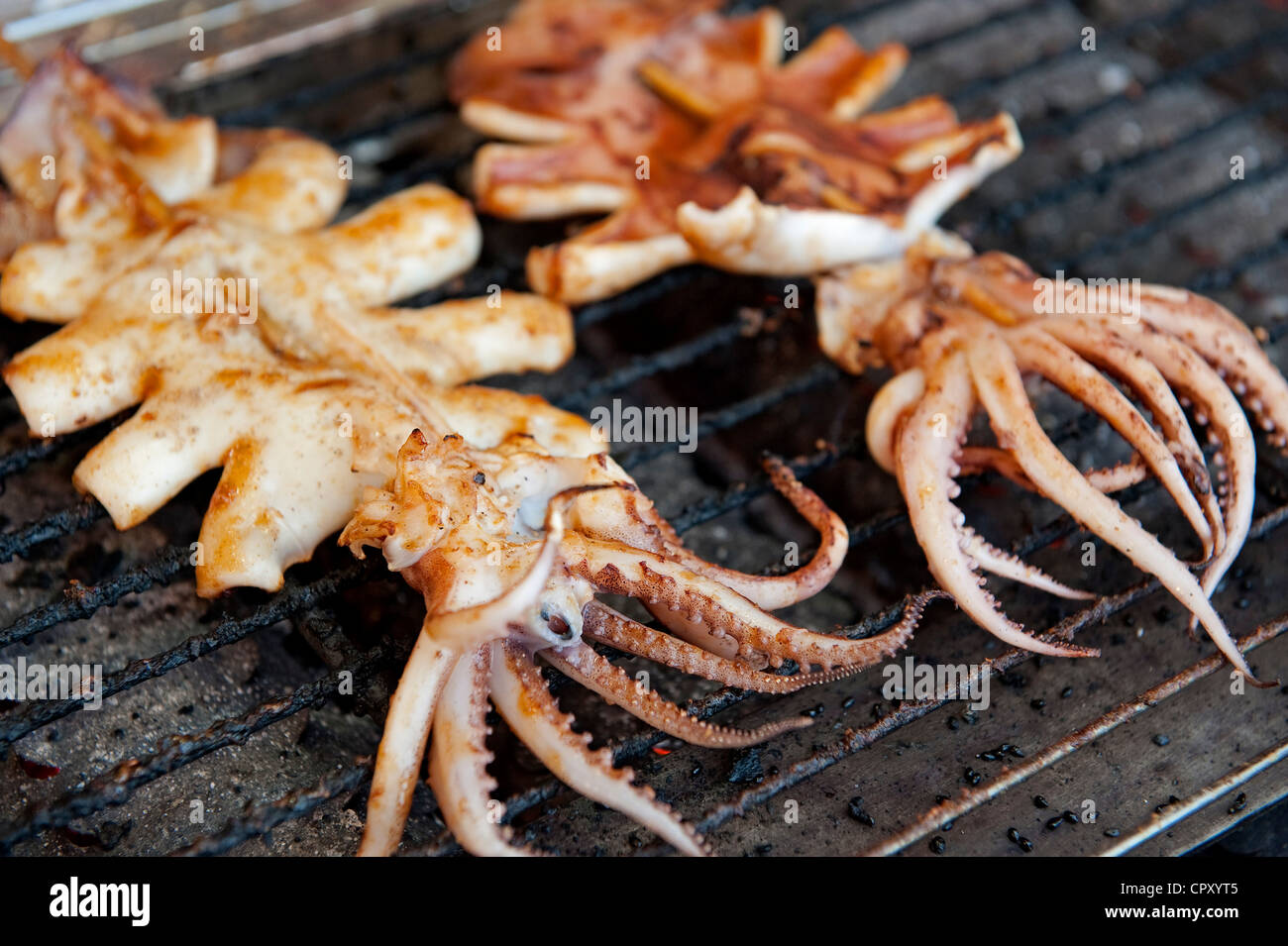 Grilled squid hi-res stock photography and images - Alamy
