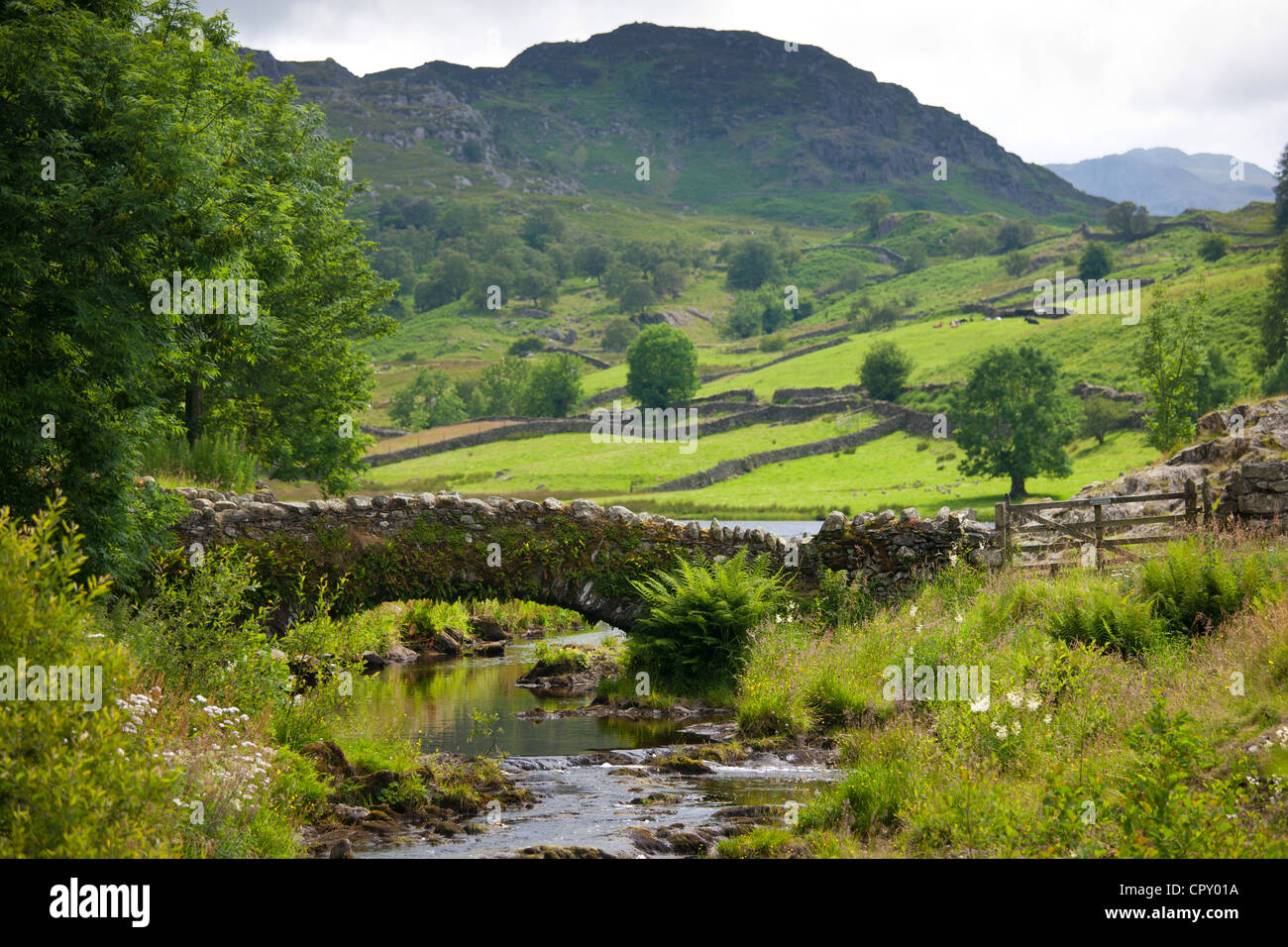 Packhorse bridge, watendlath hi-res stock photography and images - Alamy