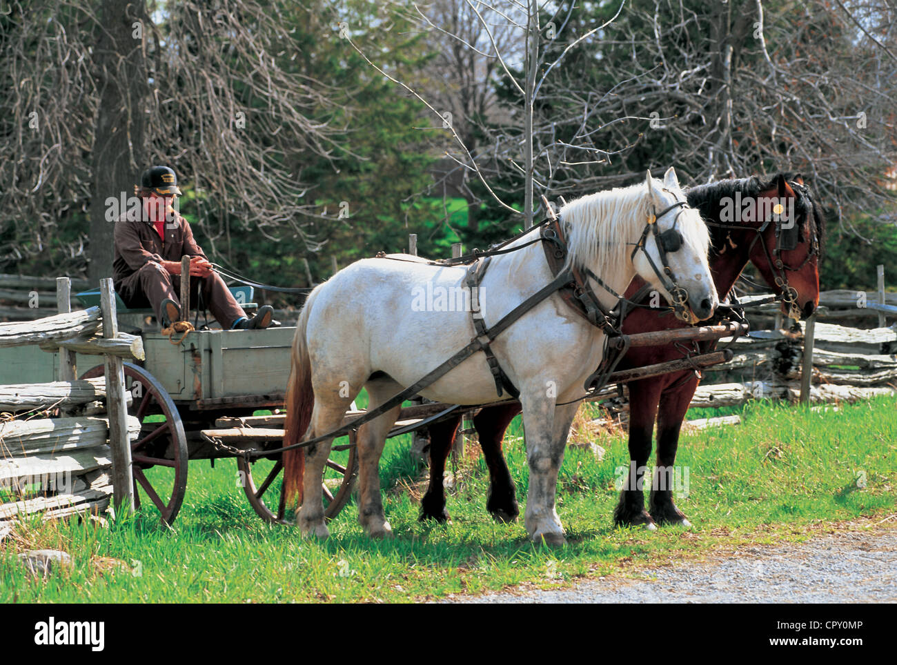 Canada, Ontario, Canada Village, carriage Stock Photo - Alamy