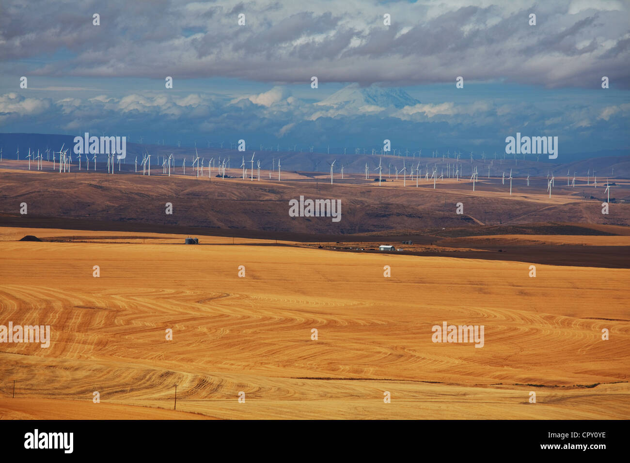 Fields in Oregon Stock Photo - Alamy
