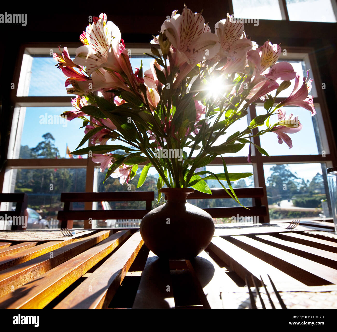 Flowers on table Stock Photo - Alamy