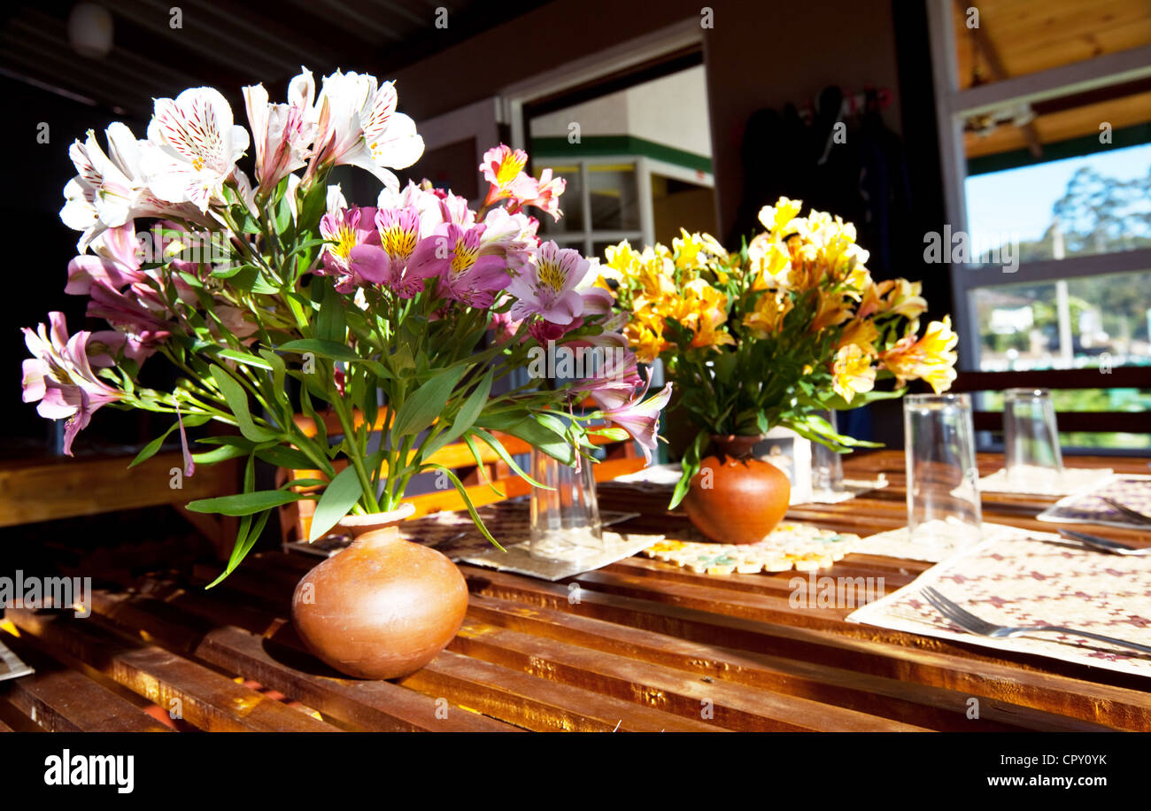 Flowers on table in restaurant Stock Photo - Alamy