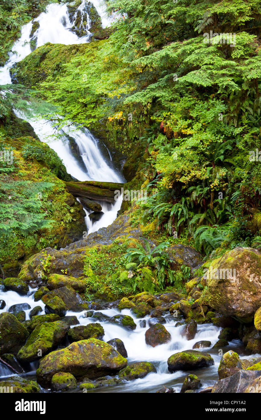 waterfall in Olympic National Park,USA Stock Photo - Alamy