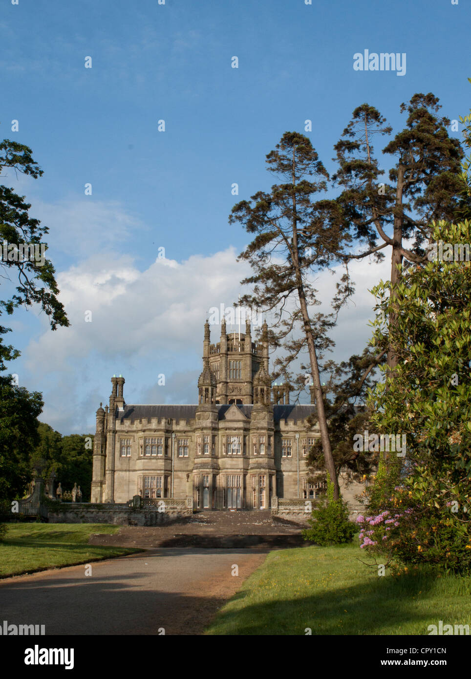 Trees Margam Park Estate and House Stock Photo - Alamy