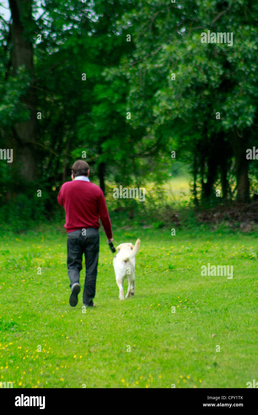 Man walking his dog at a lush green countryside farm Stock Photo - Alamy