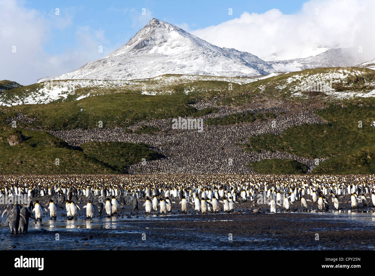 Salisbury plain hi-res stock photography and images - Alamy