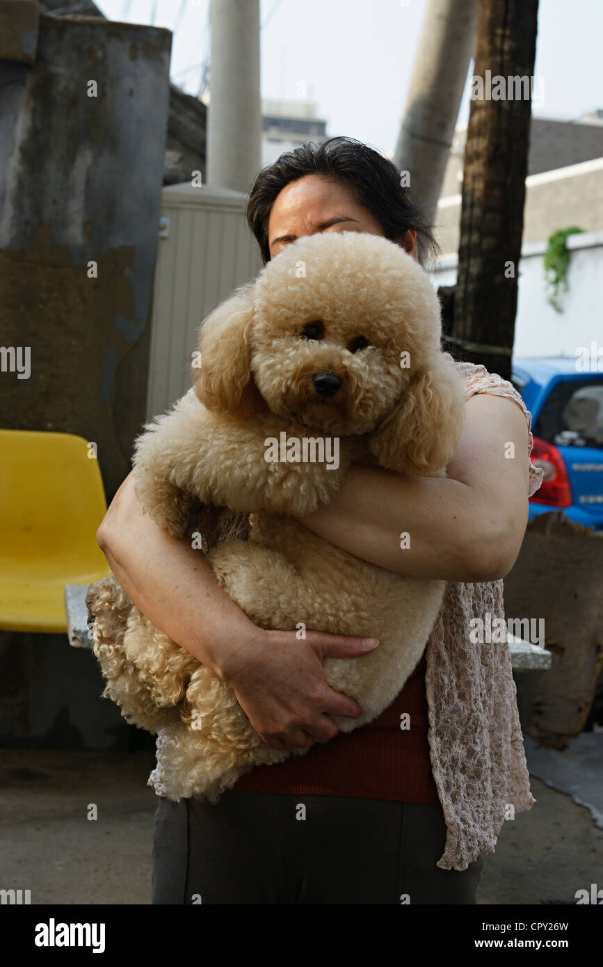 woman with pet dog in beijing hutong Stock Photo - Alamy