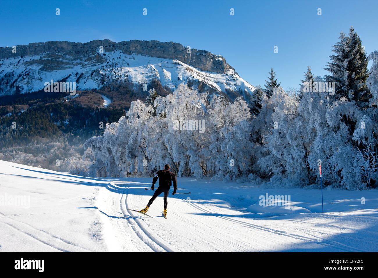 France, Savoie, La Feclaz, Massif des Bauges, Nordic ski aera of Grand ...