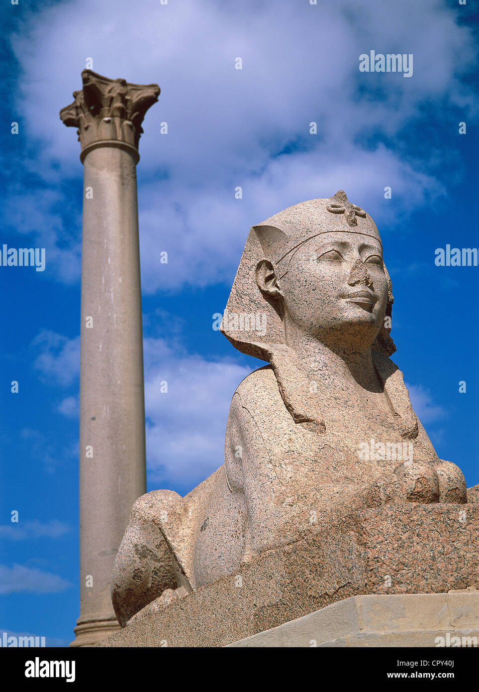 The serapeum of alexandria hi-res stock photography and images - Alamy