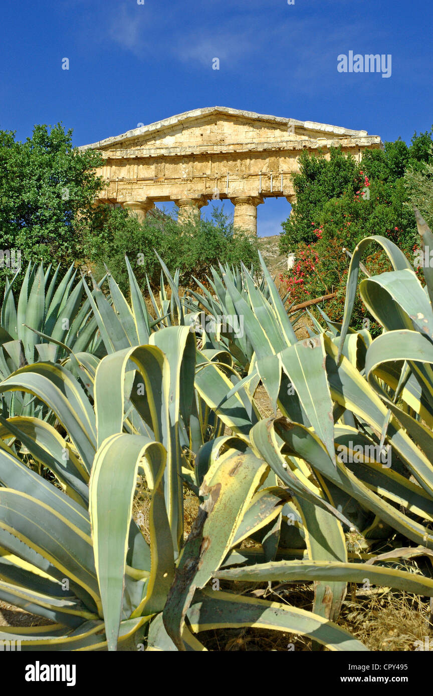 Italy, Sicily, temple of Segeste built 5th century AD in classical ...