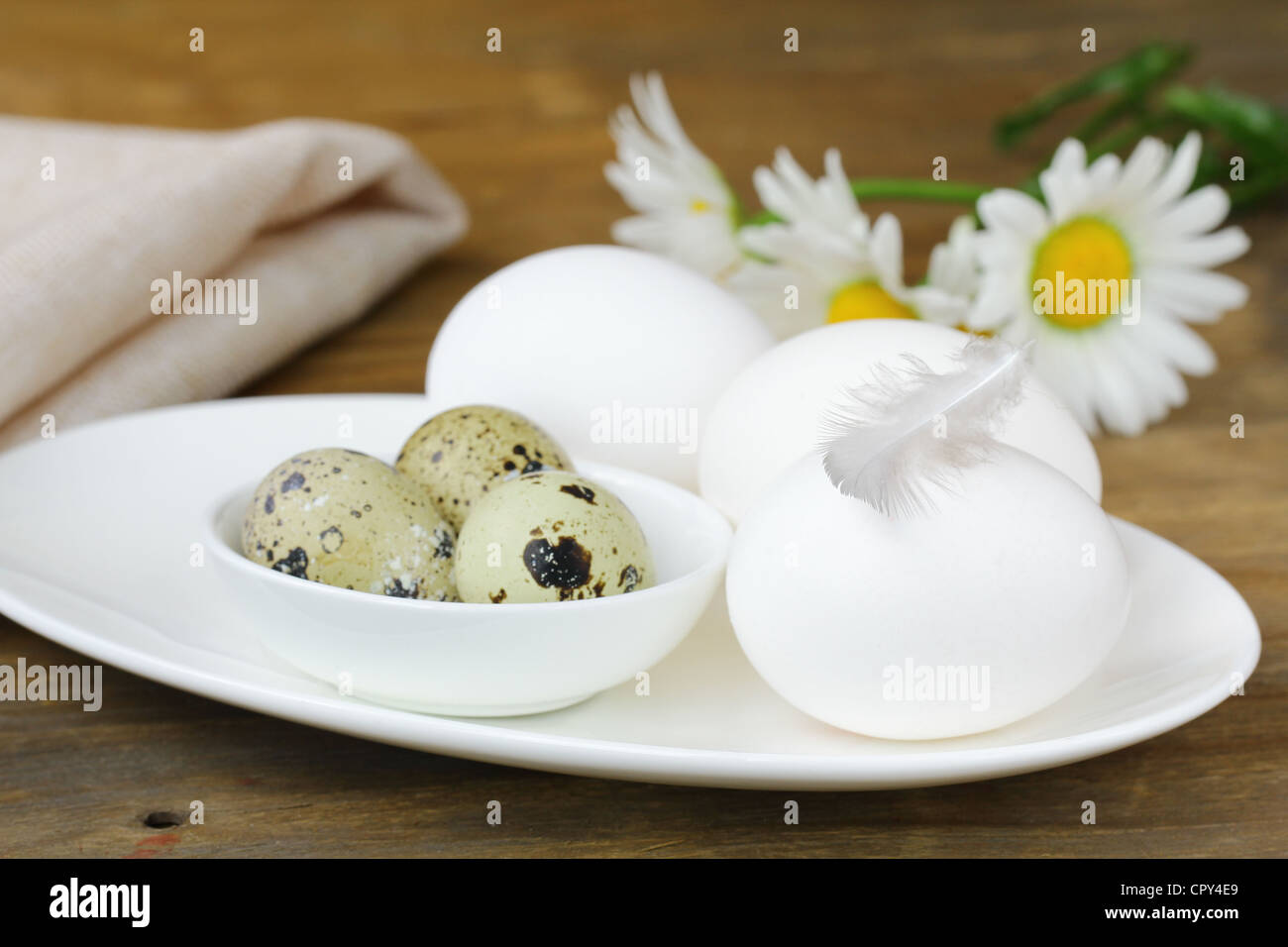 chicken and quail eggs , rustic style Stock Photo - Alamy