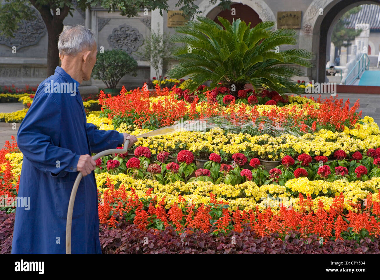 Dong yue hi-res stock photography and images - Alamy