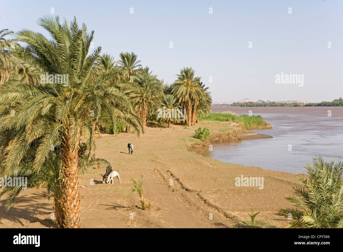 Sudan, Nubian Desert, High Nubia, River Nile near Sesebi Stock Photo ...