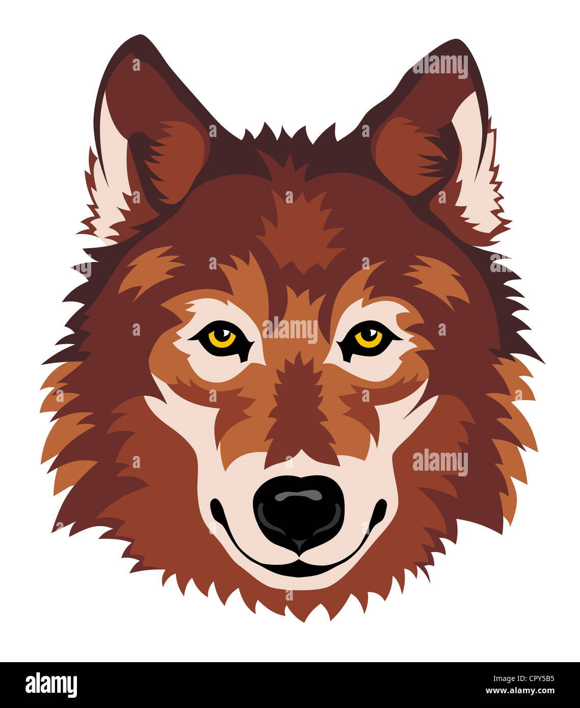 Wolf Head Illustration