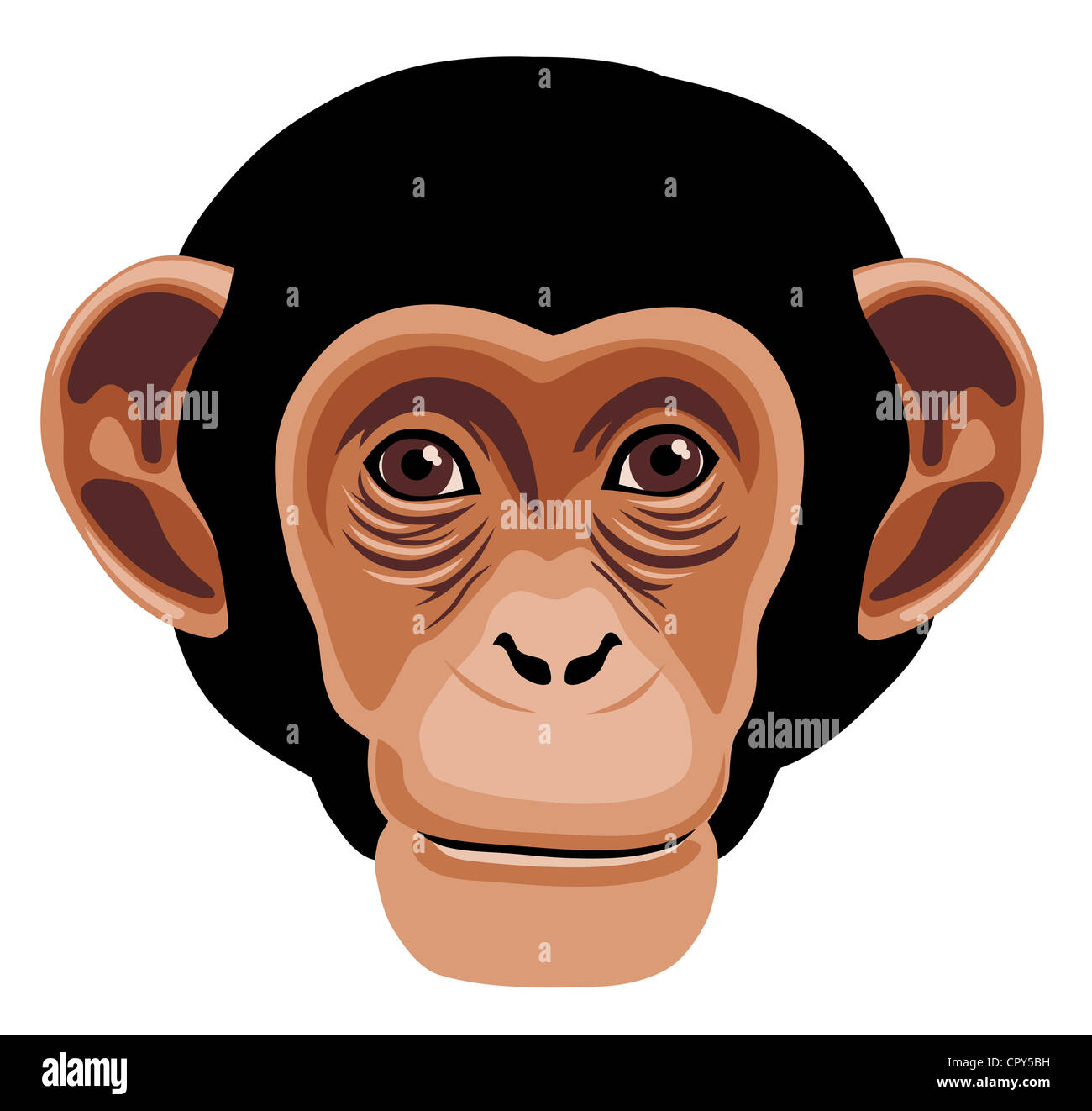 Illustration of monkey head cartoon style Stock Photo - Alamy