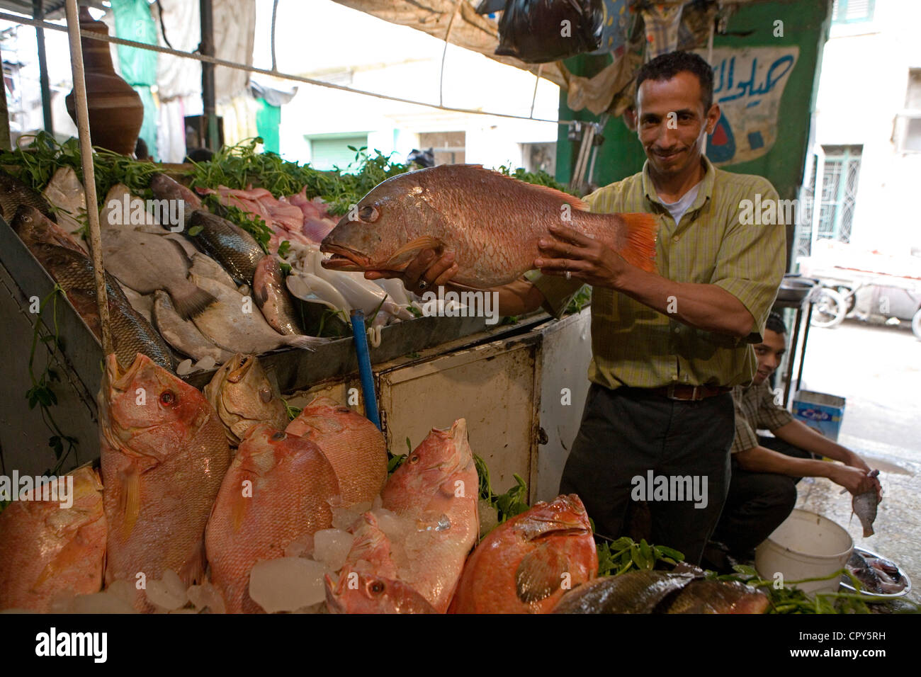 Old cairo quarter hi-res stock photography and images - Alamy
