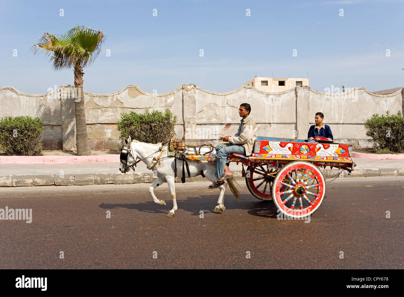 Egypt, Lower Egypt, the Mediterranean Coast, Alexandria, along the ...
