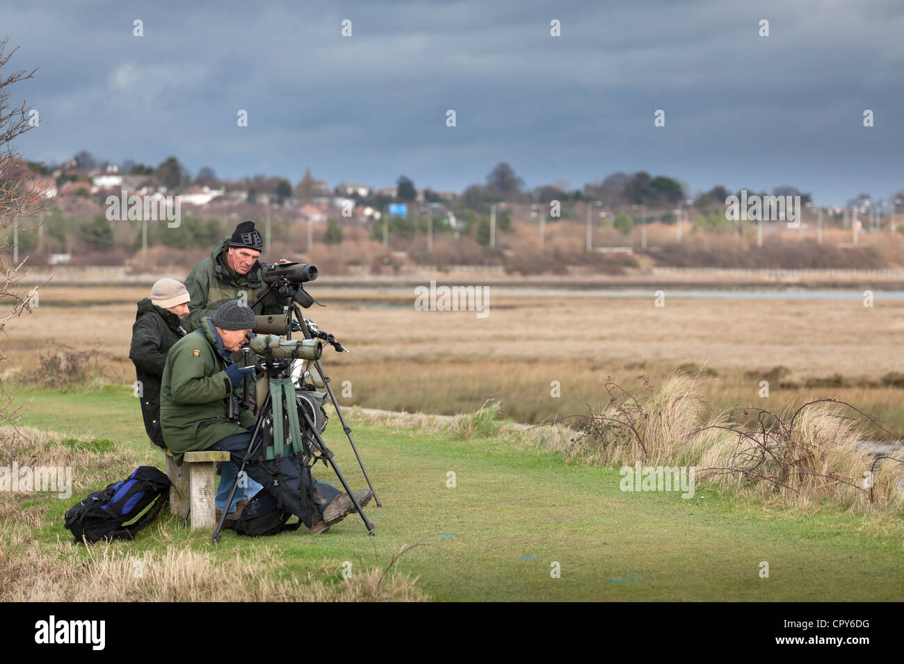 Bird watchers hi-res stock photography and images - Alamy