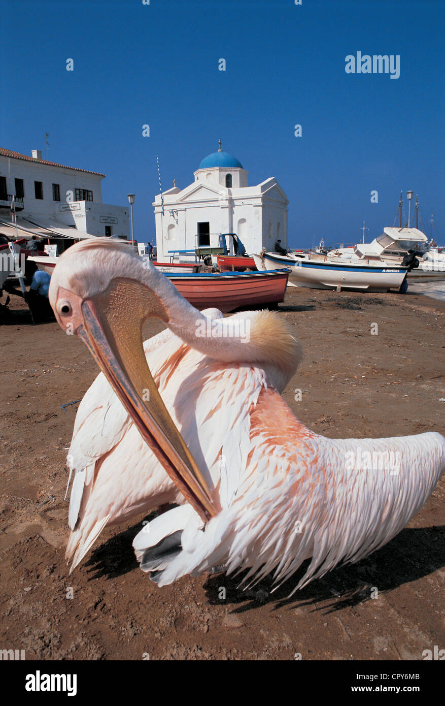 Greece, Cyclades, Mykonos Island Stock Photo - Alamy