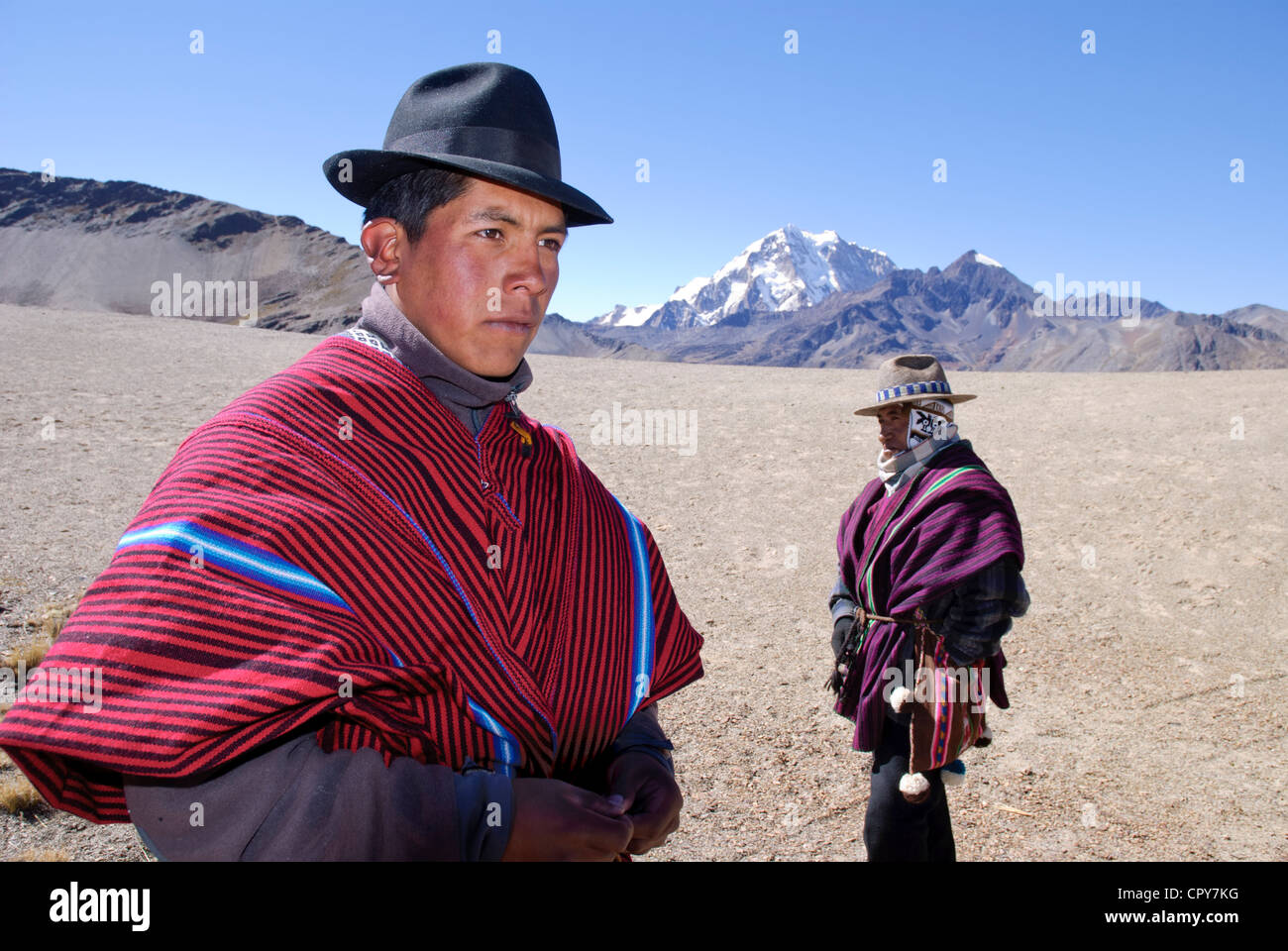 Indian aymara in the Real Cordillera, Bolivia, 4800 meters above sea ...