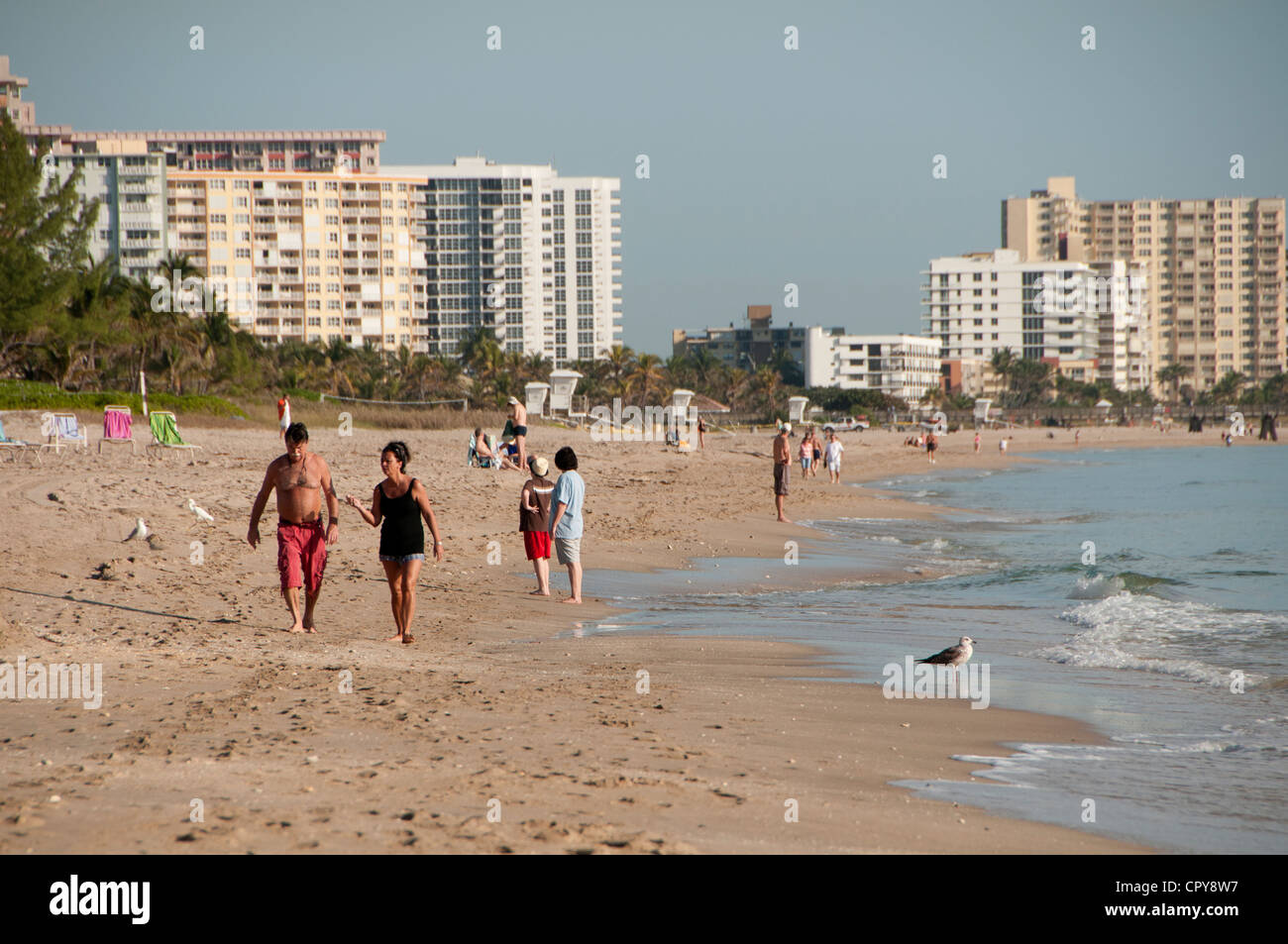 Gold pompano hi-res stock photography and images - Alamy